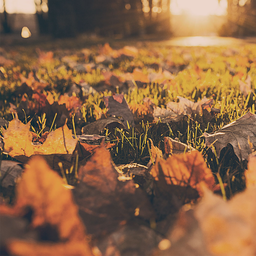 How do the seasons affect our body? - Hello Day