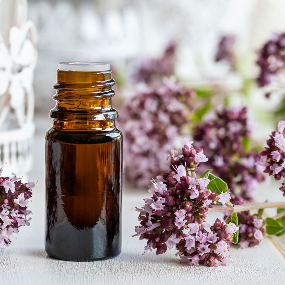 BLACK SPRUCE ESSENTIAL OIL - PART 2 - Hello Day